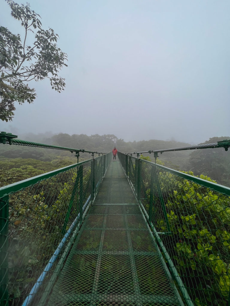 How to Spend One Day in Monteverde, Costa Rica - LIKE THE DRUM