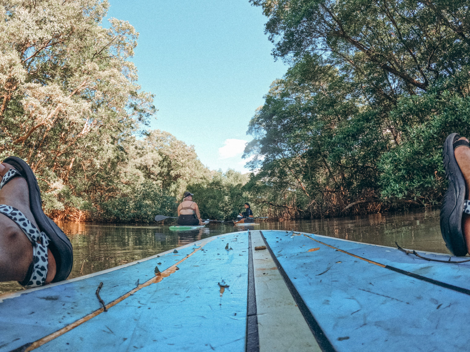 Best Unique Things to Do in Nosara, Costa Rica