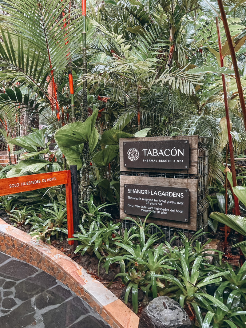 Tabacón Thermal Resort & Spa - A Beautiful Hotel in Arenal