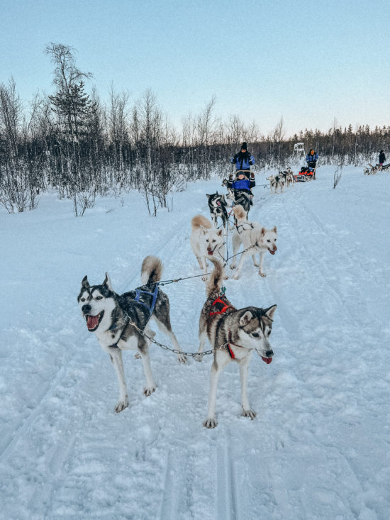 Apukka Resort – Staying in a Luxury Igloo in Rovaniemi | LIKE THE DRUM