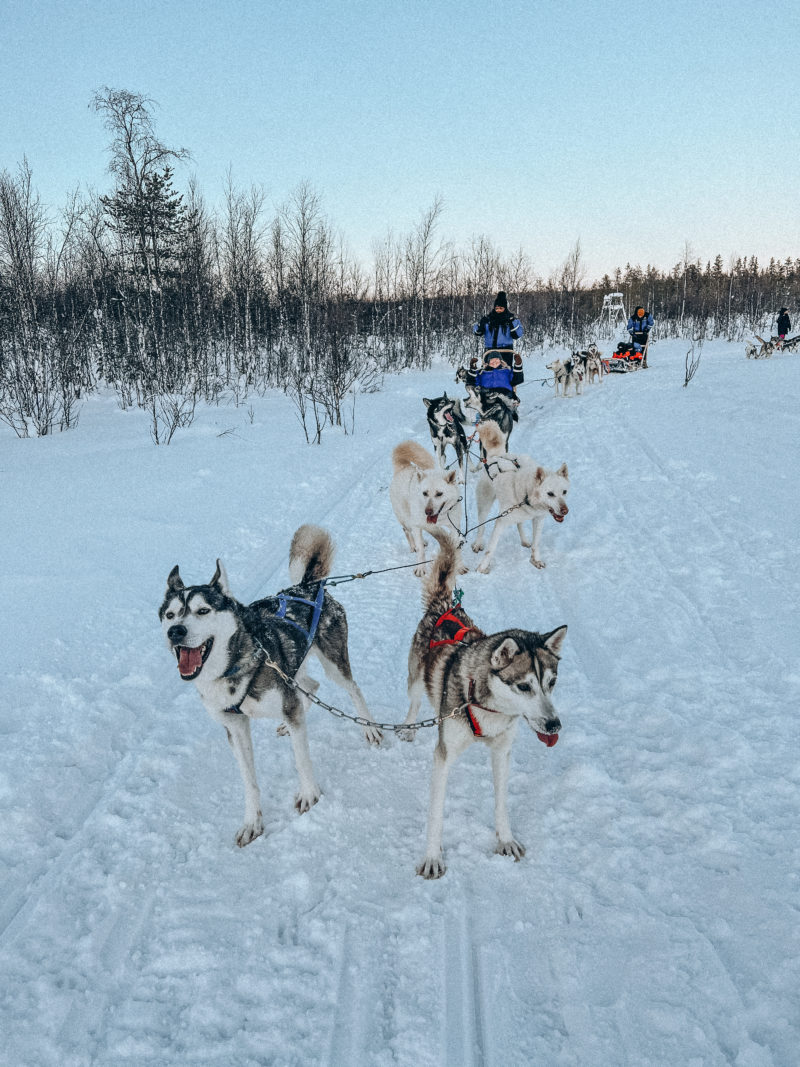 Apukka Resort – Staying in a Luxury Igloo in Rovaniemi | LIKE THE DRUM