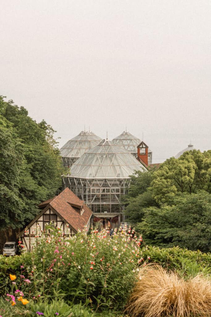 Complete Kobe Travel Guide + A One Day Kobe Itinerary - LIKE THE DRUM